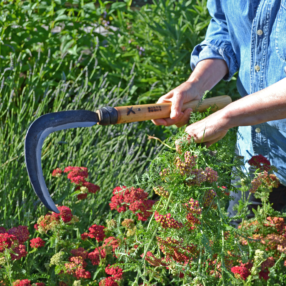 AMEICO - Official US Distributor of Master Shin's Anvil - #66 Sickle